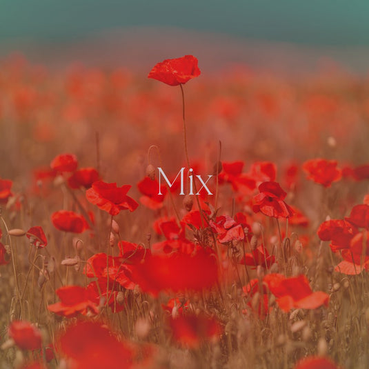 Simmer Mixes – Simmer and Co Natural Aroma Inc