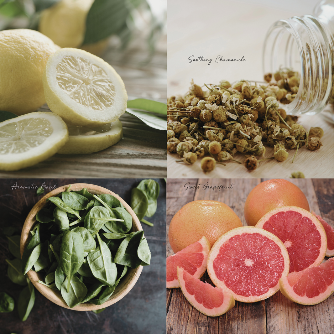 Best Sellers – Simmer and Co Natural Aroma Inc